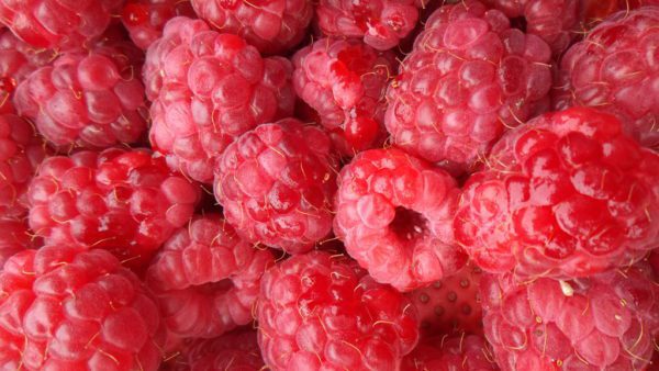 Easy Recipe For Raspberries | auscrops.com.au