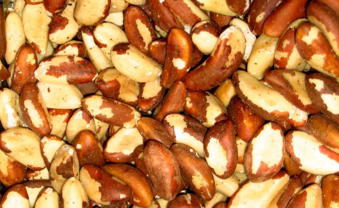 Brazil Nuts Facts, Nutrition & Health Benefits | auscrops.com.au