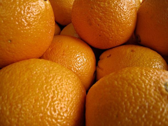 Orange Navel - Nutrition & Fun Facts - auscrops.com.au