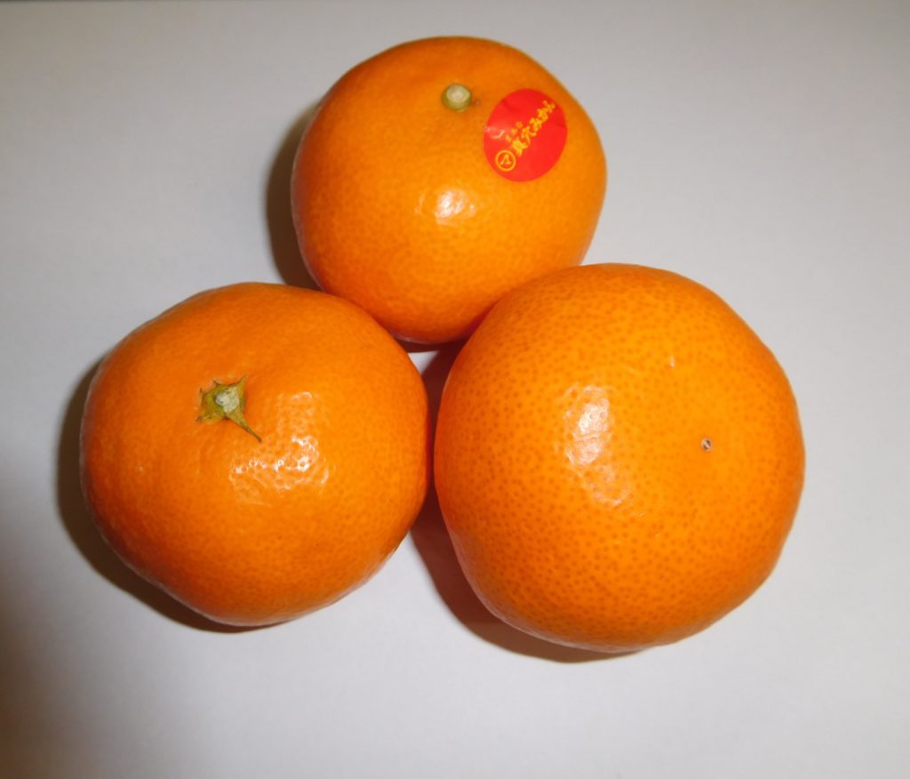 Afourer Mandarin - Everything to Know - auscrops.com.au