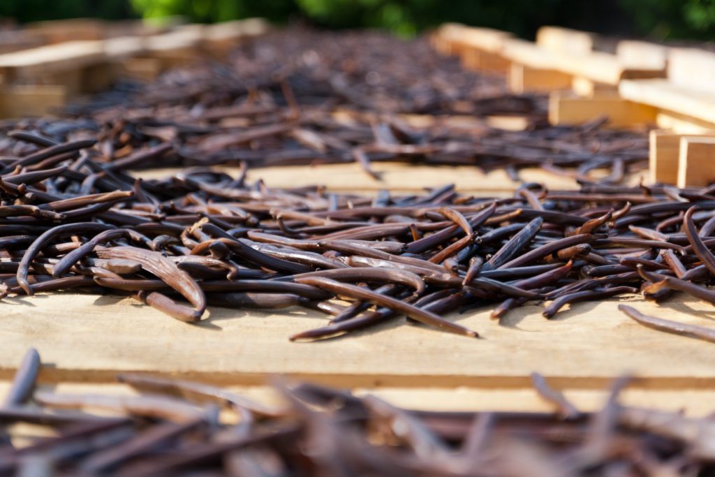 Vanilla Pod What is it and How to Use it? | auscrops.com.au