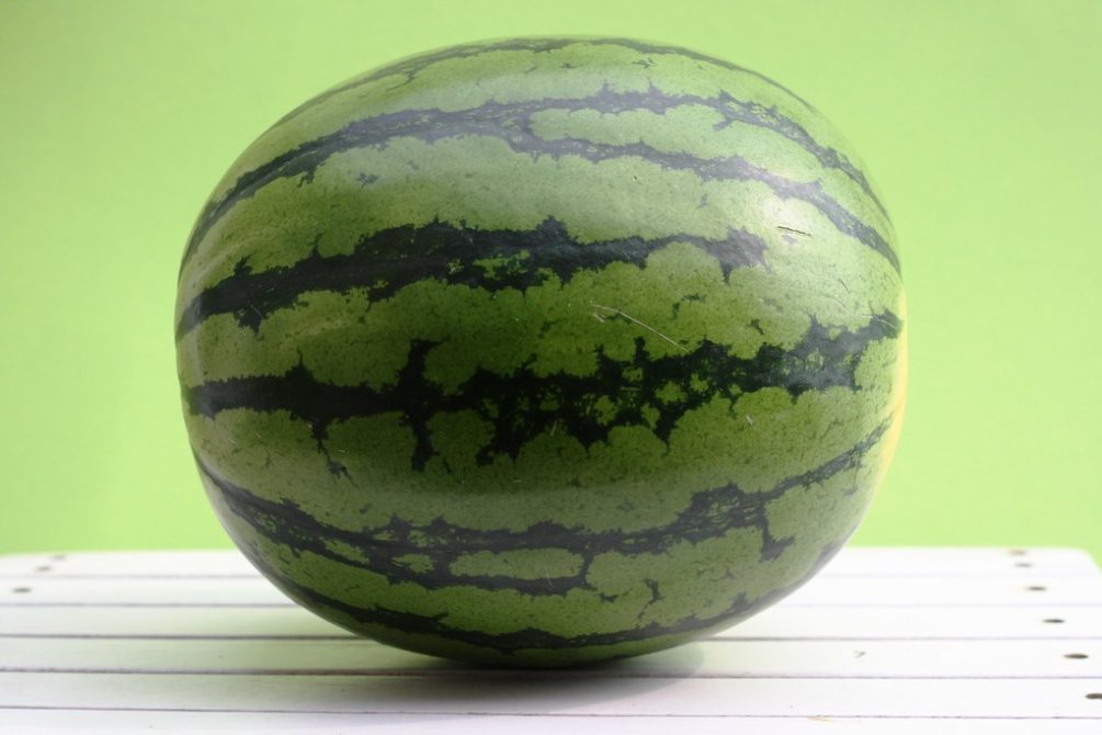 Whole Watermelon - Everything to Know Eating - auscrops.com.au
