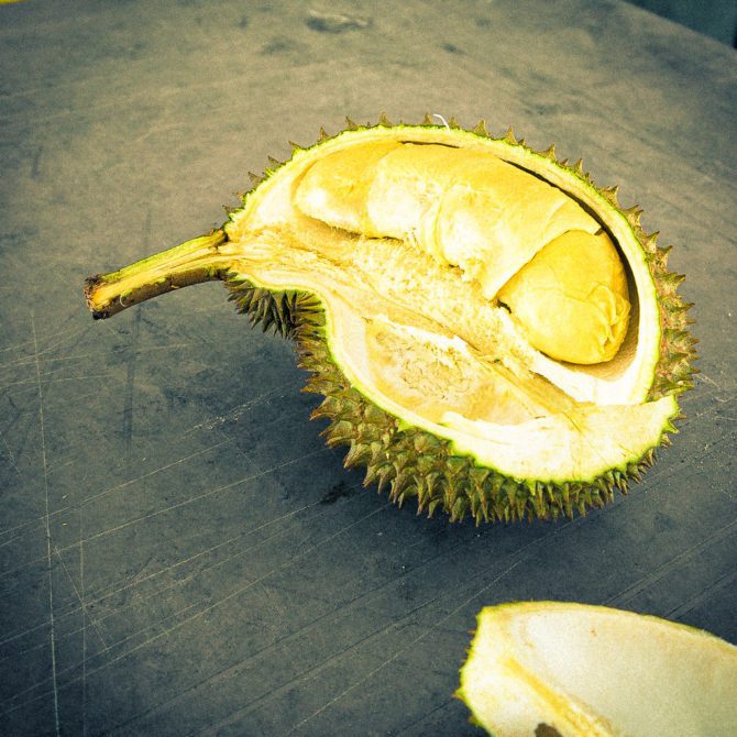 Durian Fruit - All You Need to Know - auscrops.com.au
