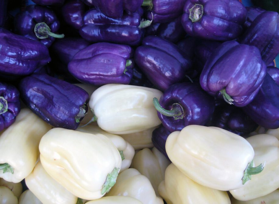 White Peppers - All to Know | auscrops.com.au