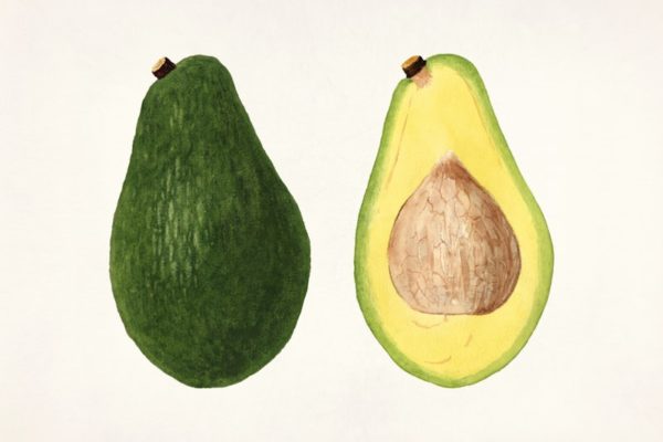 Avocado Glow Recipe - auscrops.com.au
