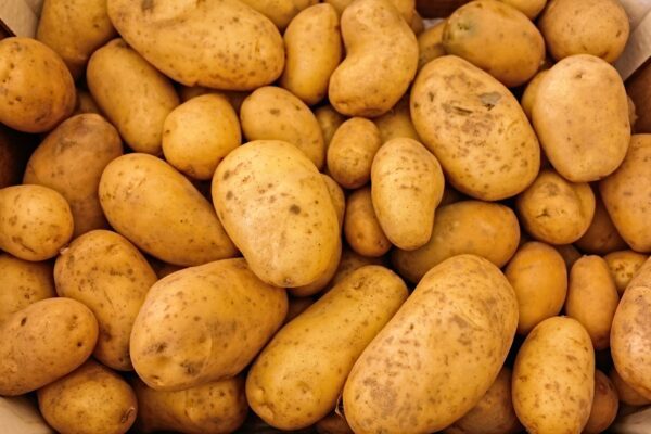 Potatoes Price - auscrops.com.au
